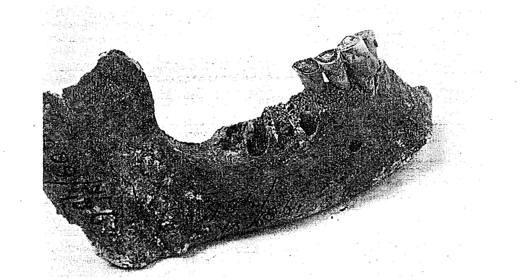 Oosterbeintum, grave 485a. occlusal surface of teeth in the