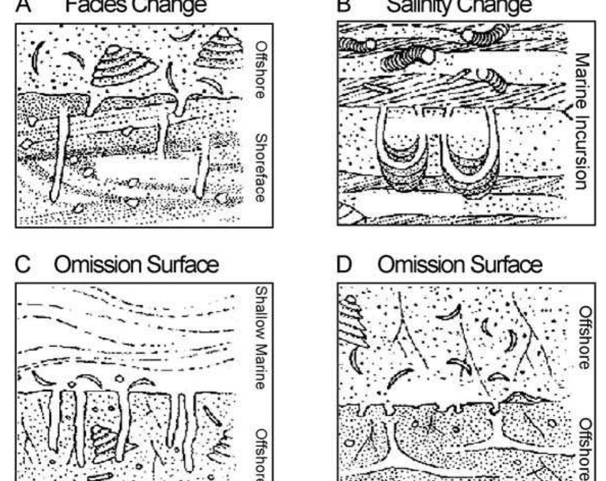 5 summary of body and trace fossils as indicators for