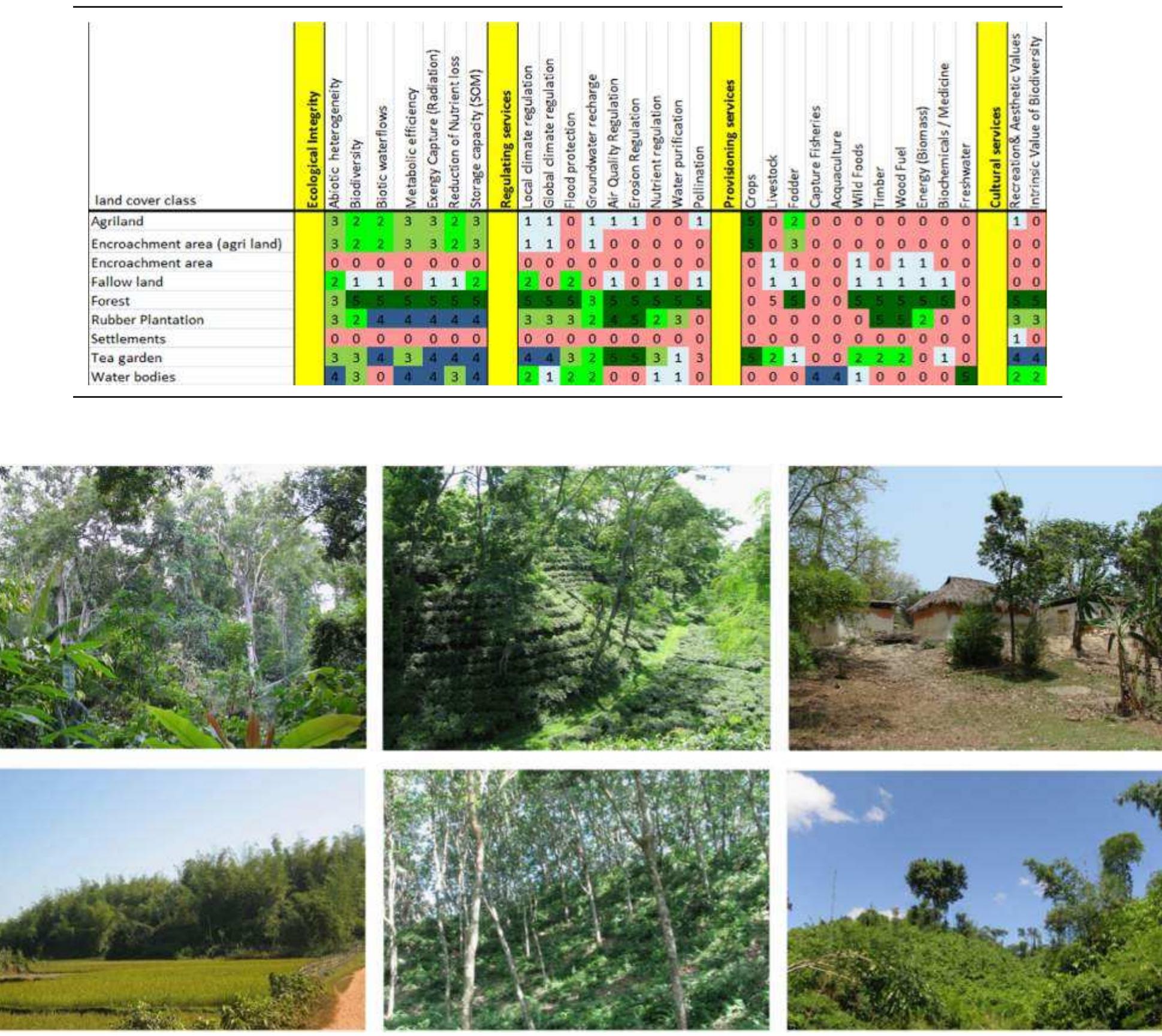 Es assessment matrix illustrating the capacities of