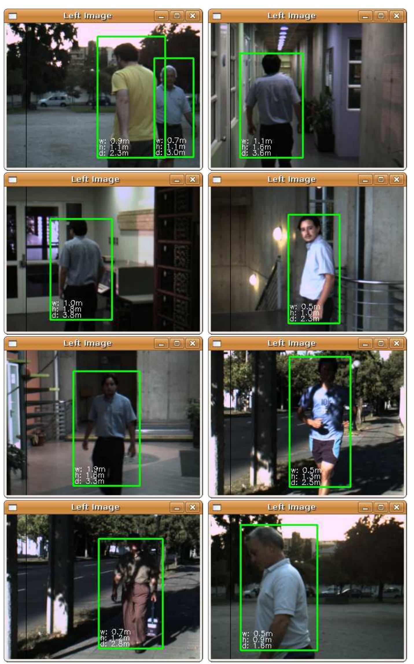 Detection examples. these images show different detections
