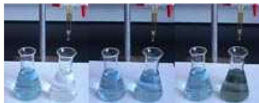 (PDF) Determination of Vitamin C Concentration by Titration (Redox ...