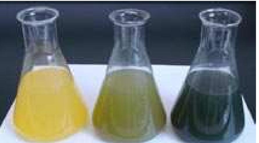 (PDF) Determination of Vitamin C Concentration by Titration (Redox ...