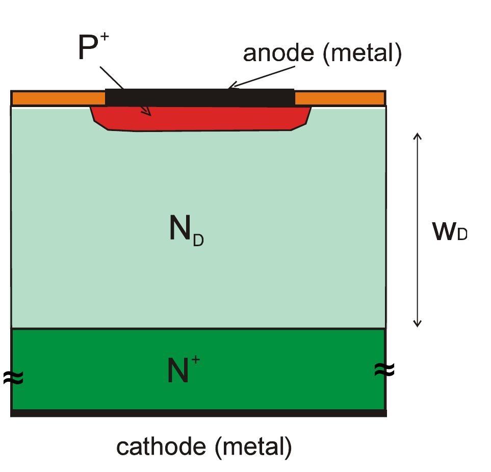 Physical structure of a pin diode