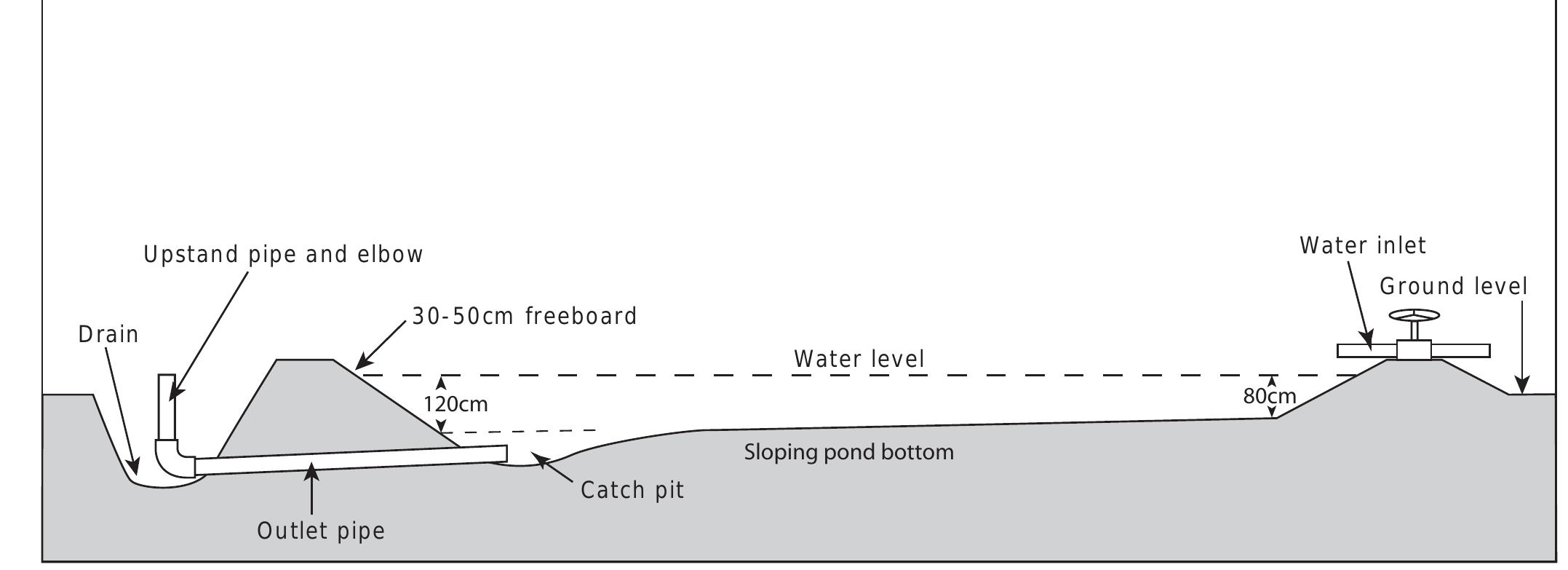 Cross-section of pond along length of the pond maintaining