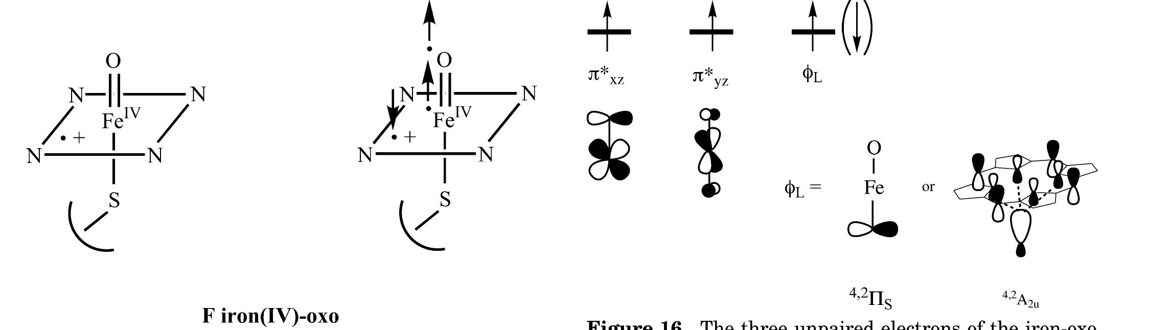 Figure 18 - Mechanism of Oxidation Reactions Catalyzed by