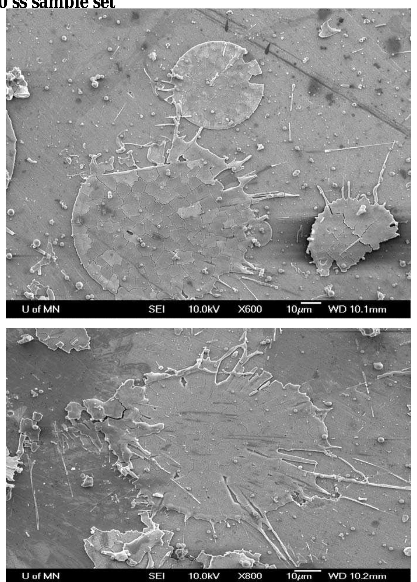 22 sem of r-ysz splat morphology for i800 ss sample set.