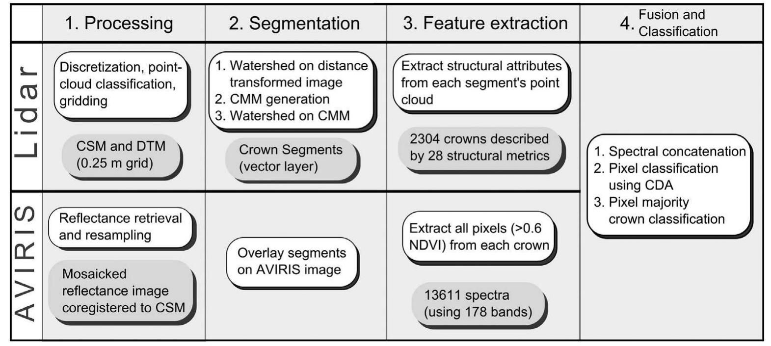 Workflow diagram for data preprocessing, crown delineation