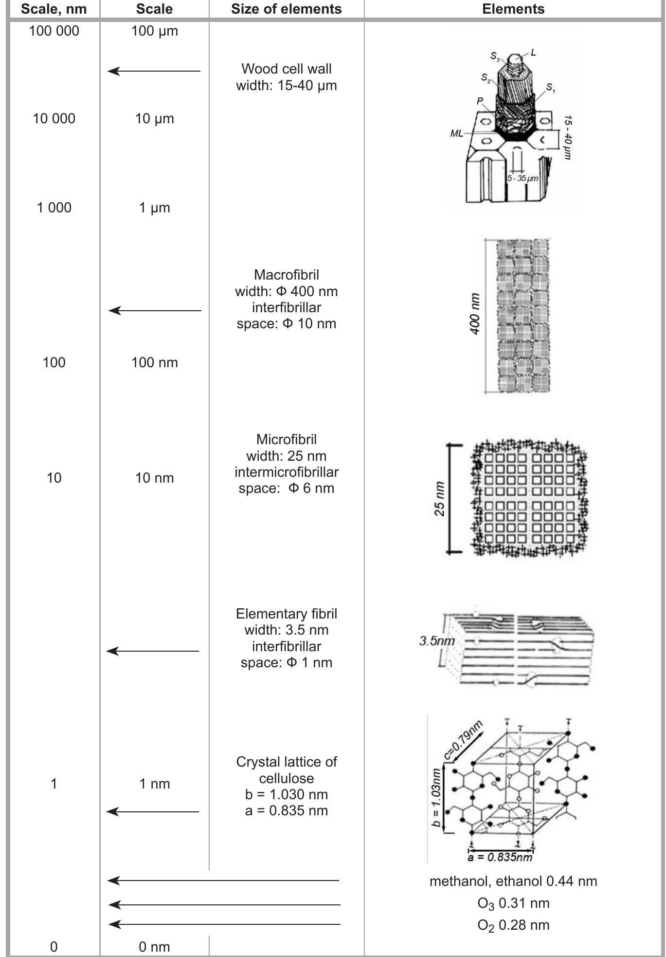Visualisation of primary and secondary cell-wall structure