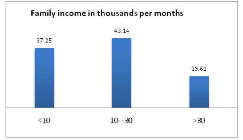 Classification of respondent based on income using the