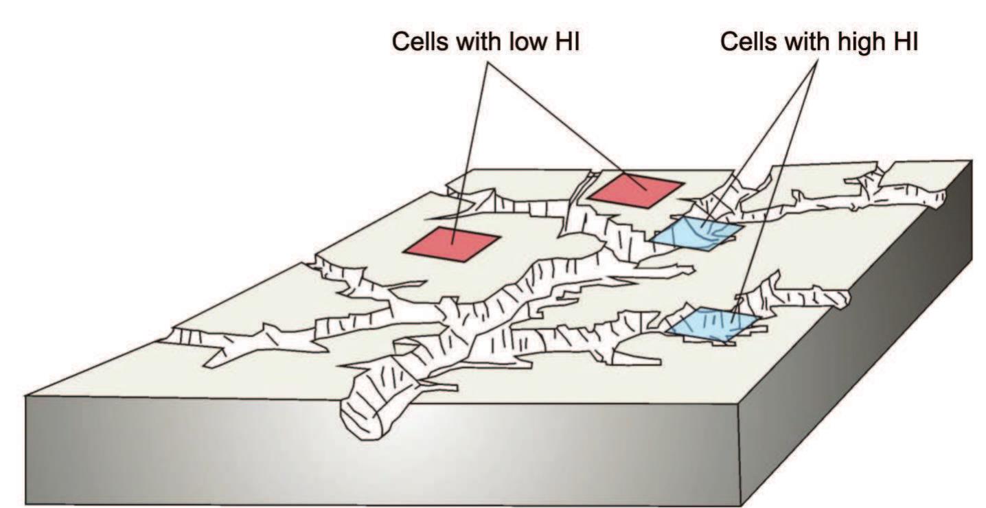 Schematic illustration showing cells with different hi