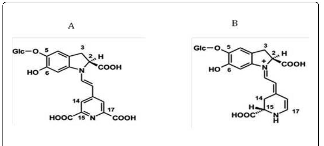 Chemical structure of betanin (a), chemical structure o