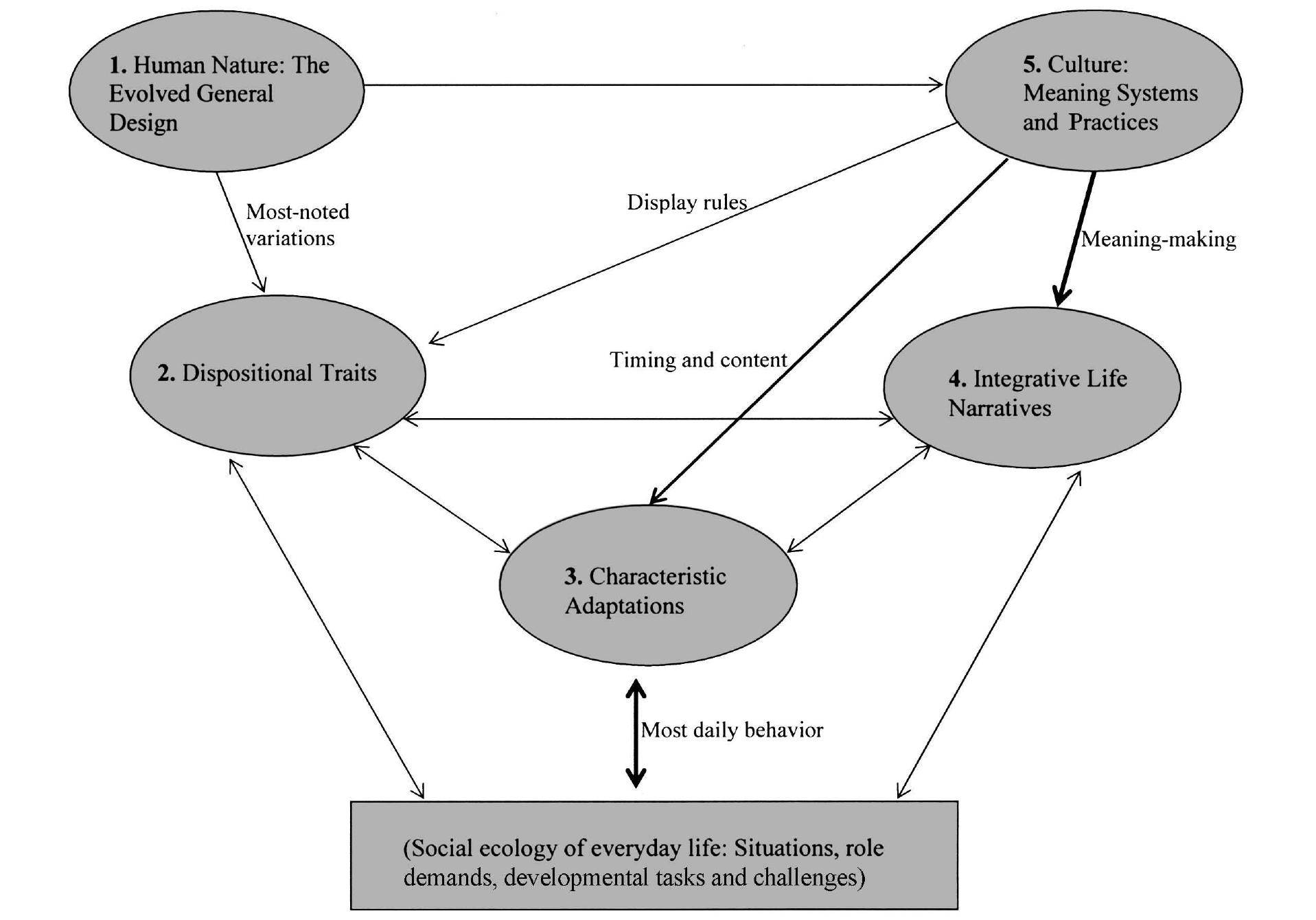 Five principles of personality psychology: a schematic