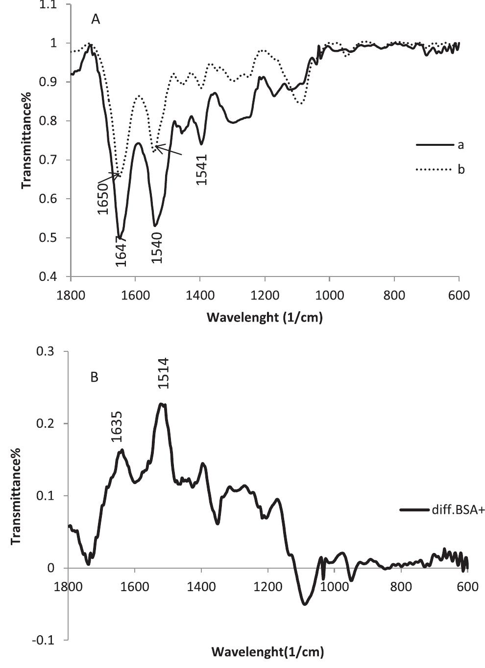 Atr-ftir spectra of bsa solution (a), bsa and peg 10000