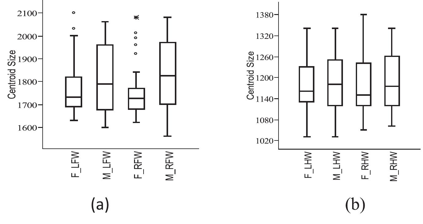 Box plot showing the centroid size differences between males