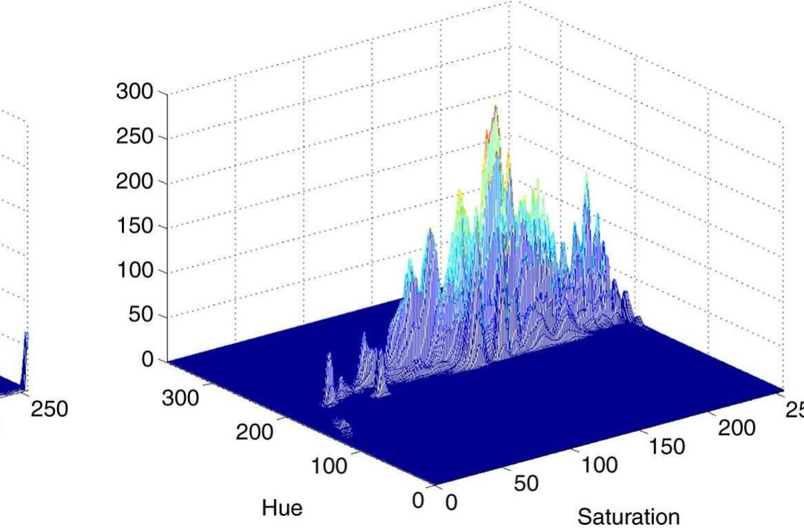 Hue-saturation histogram for blue signs.