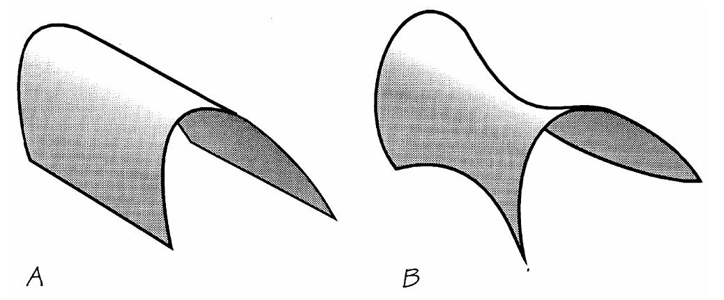 2 a: cylindrical fold. b: non-cylindrical fold. the single