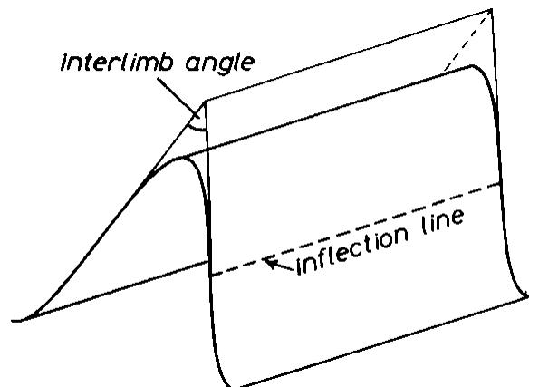13 the tightness of a fold is determined from the interlimb