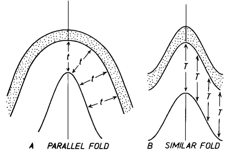 18 parallel and similar folds are distinguished by the way