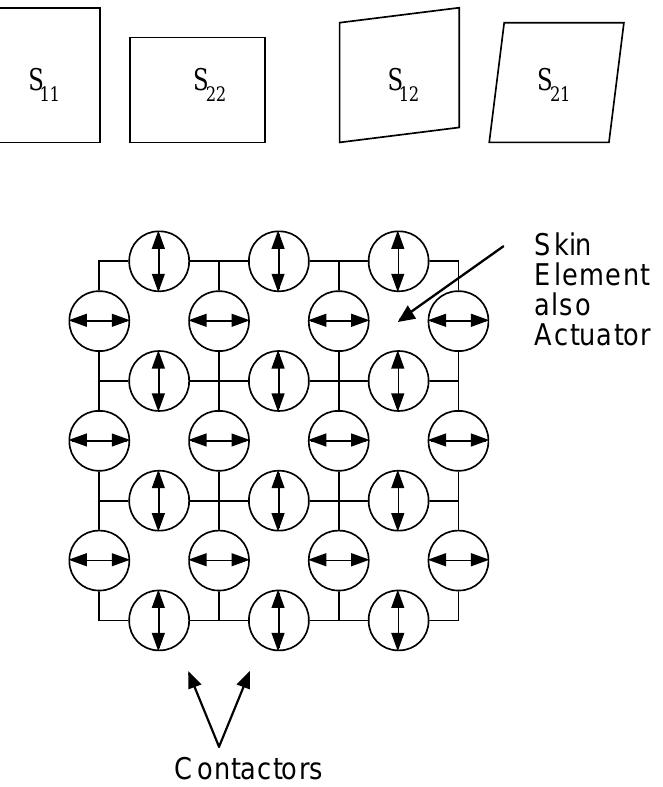 Relationship between each finite skin elements (squares) and