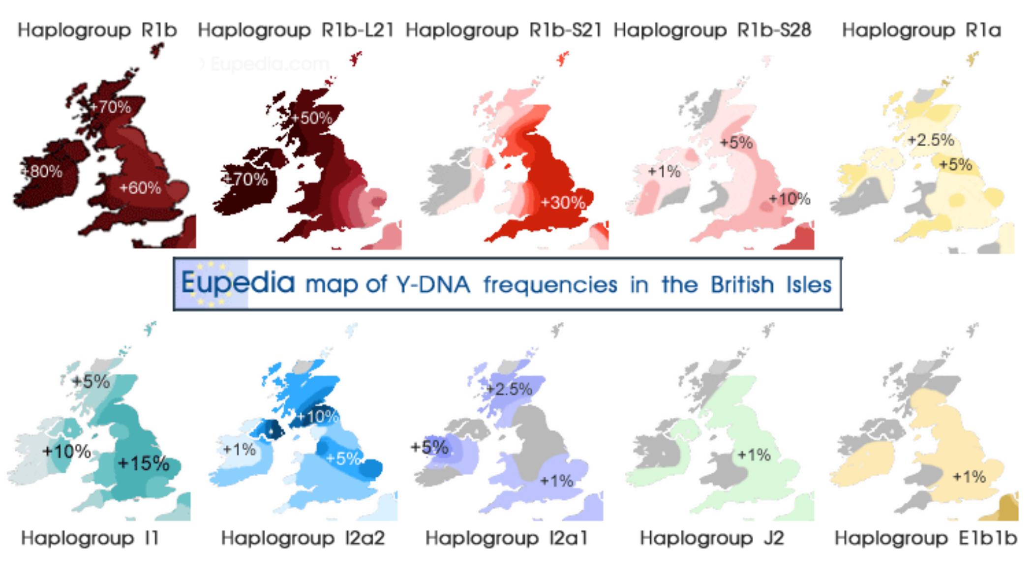 Distribution maps of y-dna haplogroups in britain and