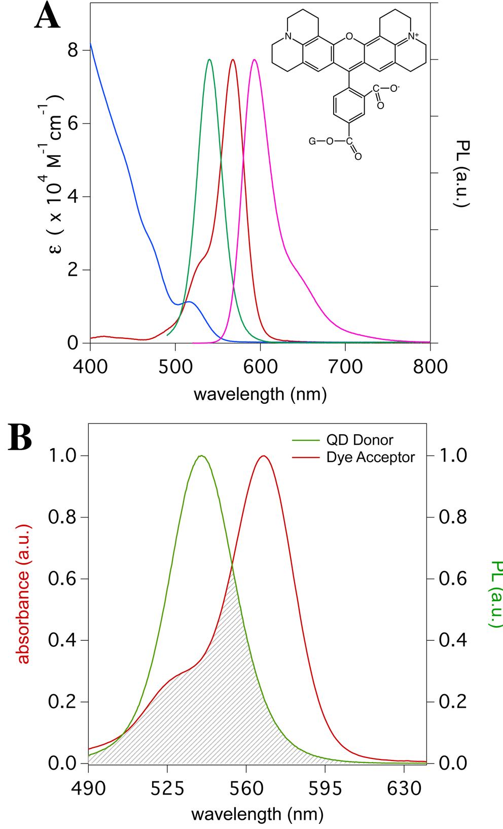 (a) optical extinction spectra of s-rox (red trace, left