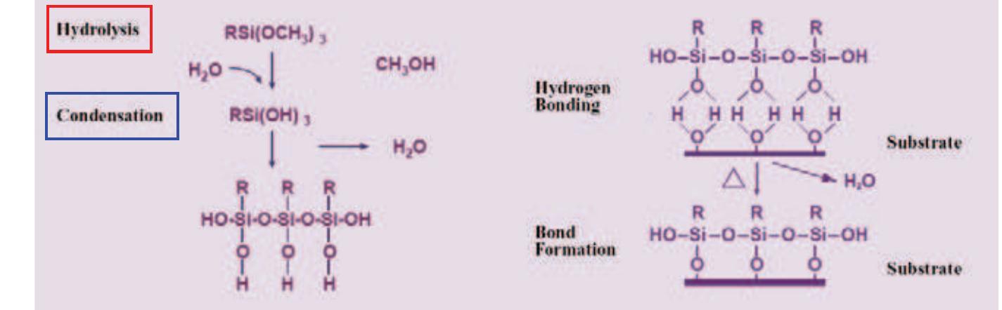 The mechanism of hydrolysis, condensation and bonding of