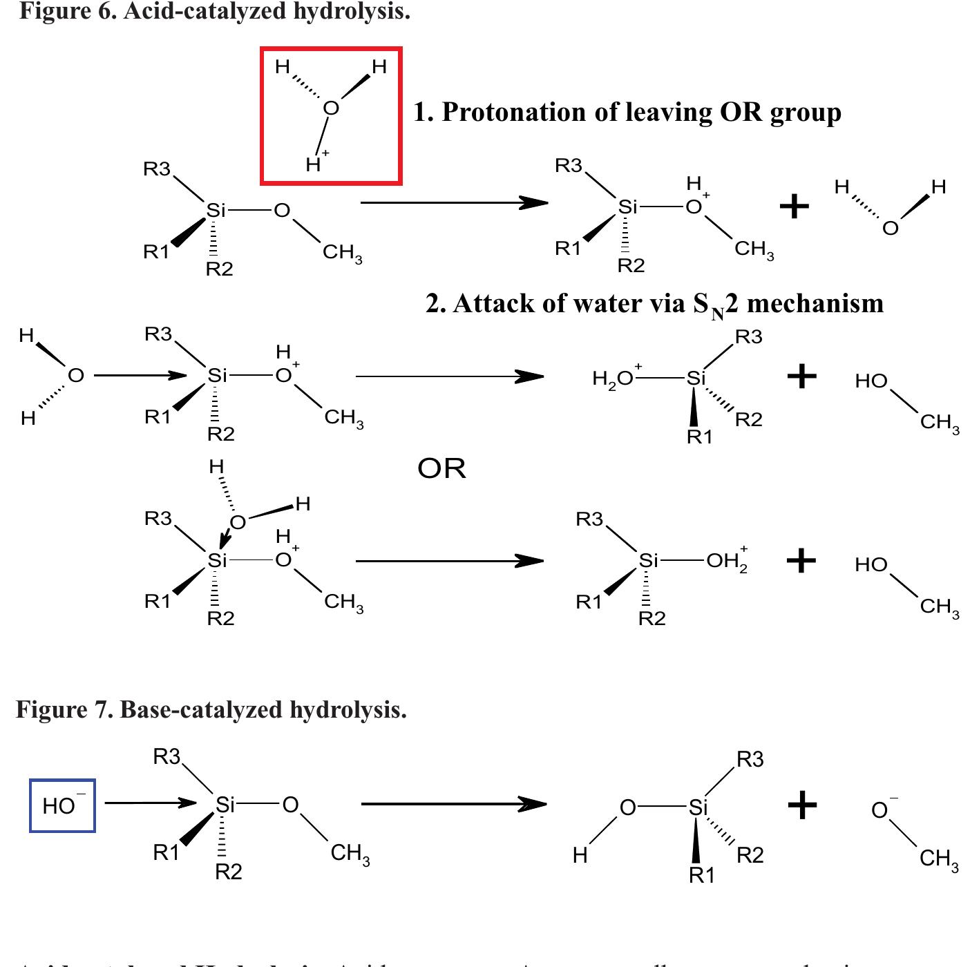 The hydrolysis/condensation balance: the rates of both