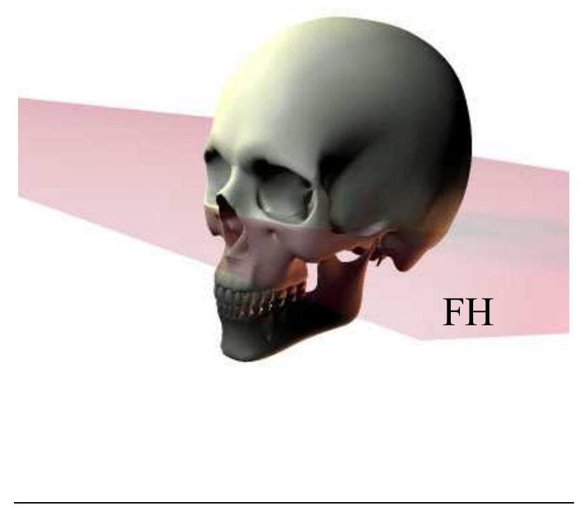 (PDF) ATLAS OF HUMAN SKELETAL ANATOMY ATLAS OF HUMAN SKELETAL ANATOMY ...
