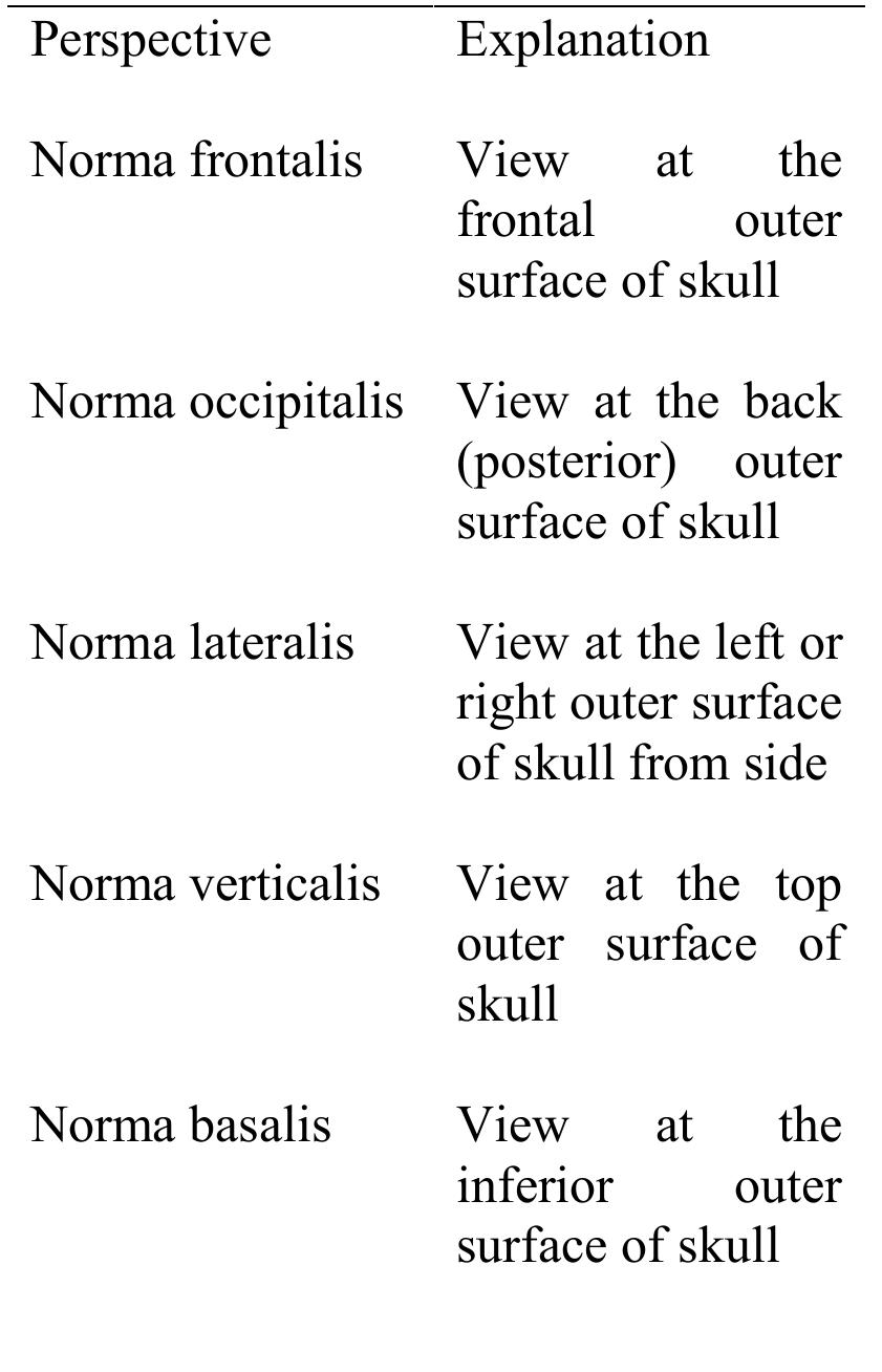 (PDF) ATLAS OF HUMAN SKELETAL ANATOMY ATLAS OF HUMAN SKELETAL ANATOMY ...