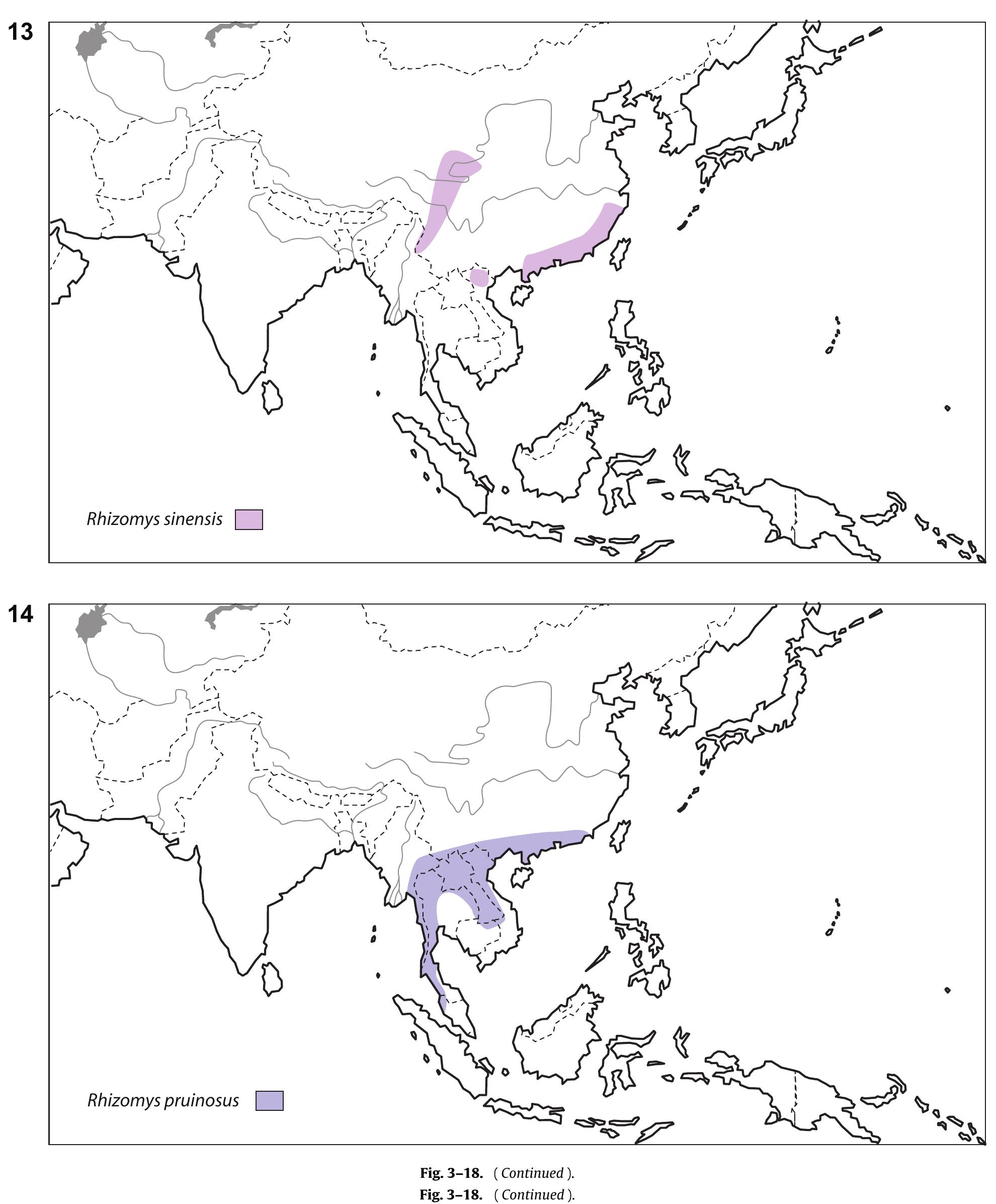 To refer to the indian rhinoceros rhinoceros unicornis or