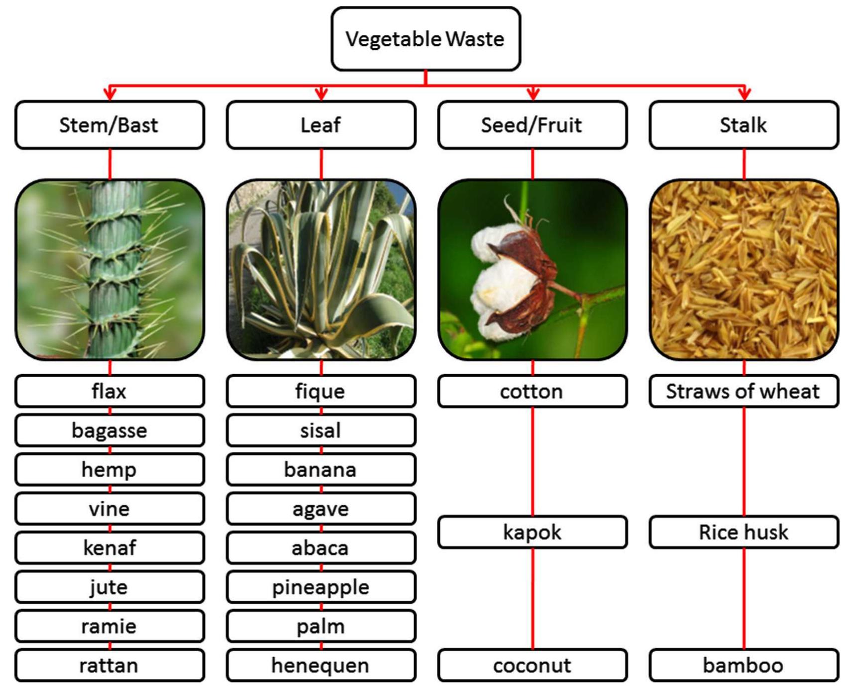 Classification of vegetable source based on the parts from