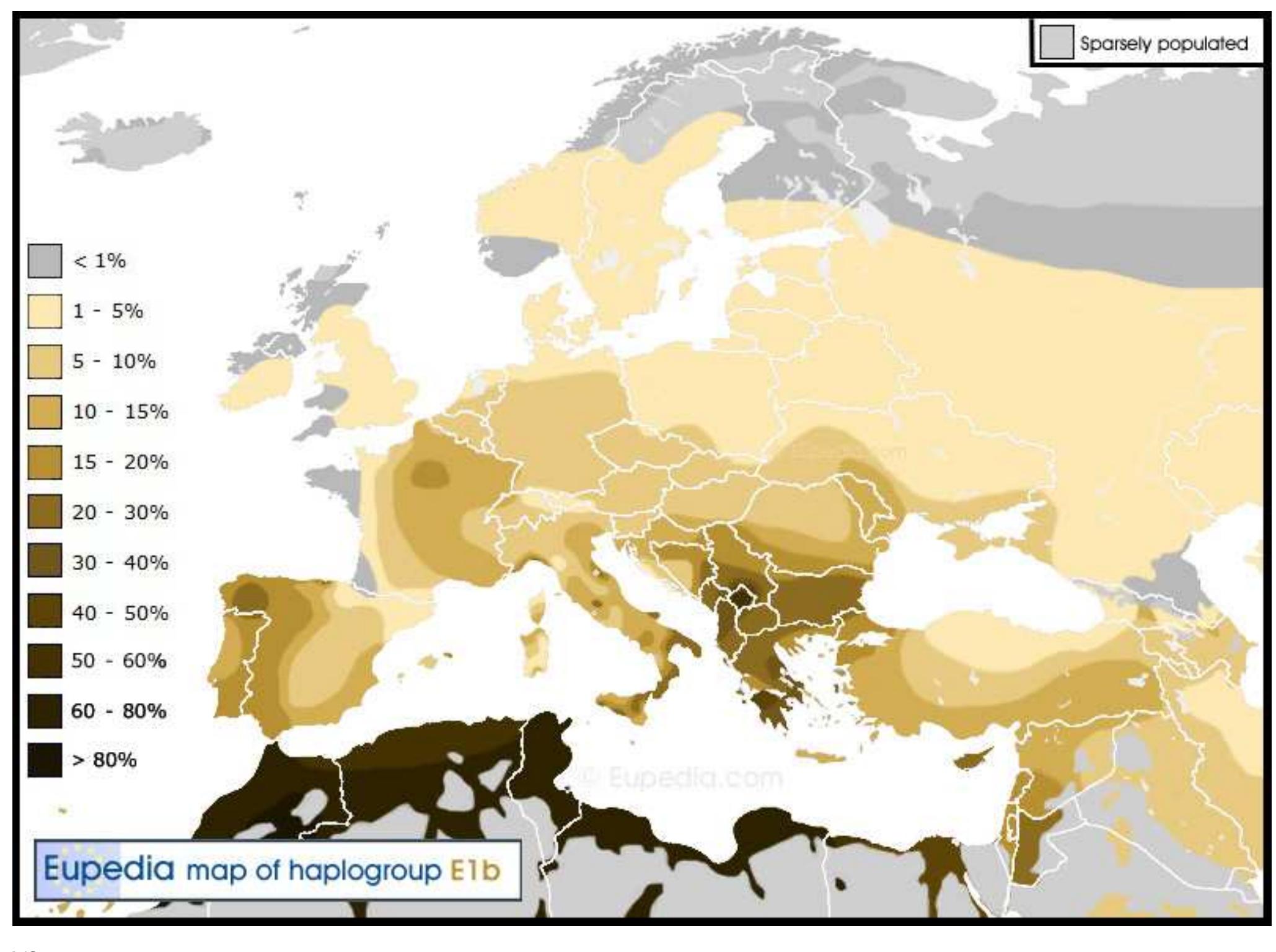 (PDF) Origins and history of Haplogroup E1b1b (Y-DNA)