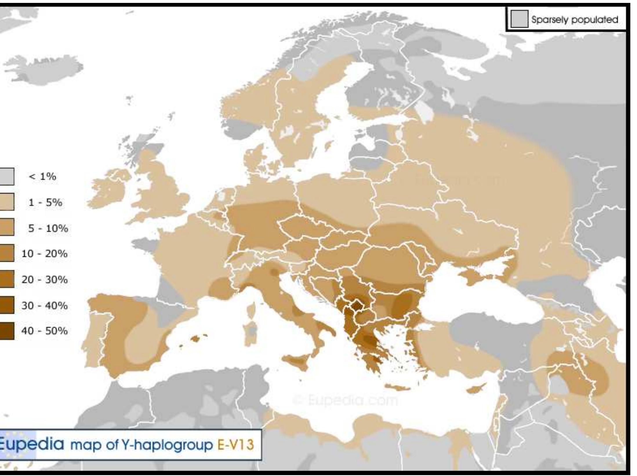 (PDF) Origins and history of Haplogroup E1b1b (Y-DNA)