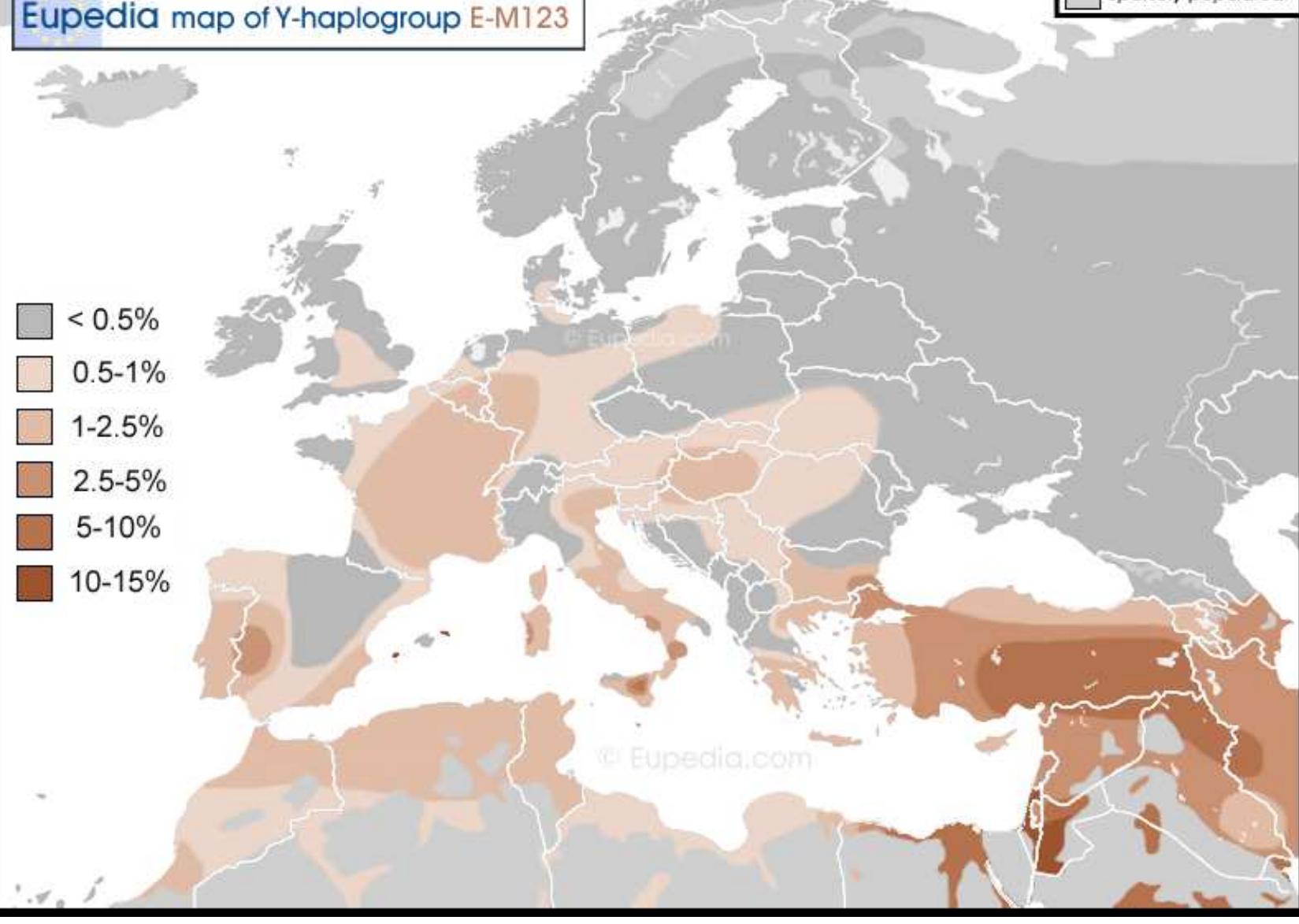 (PDF) Origins and history of Haplogroup E1b1b (Y-DNA)