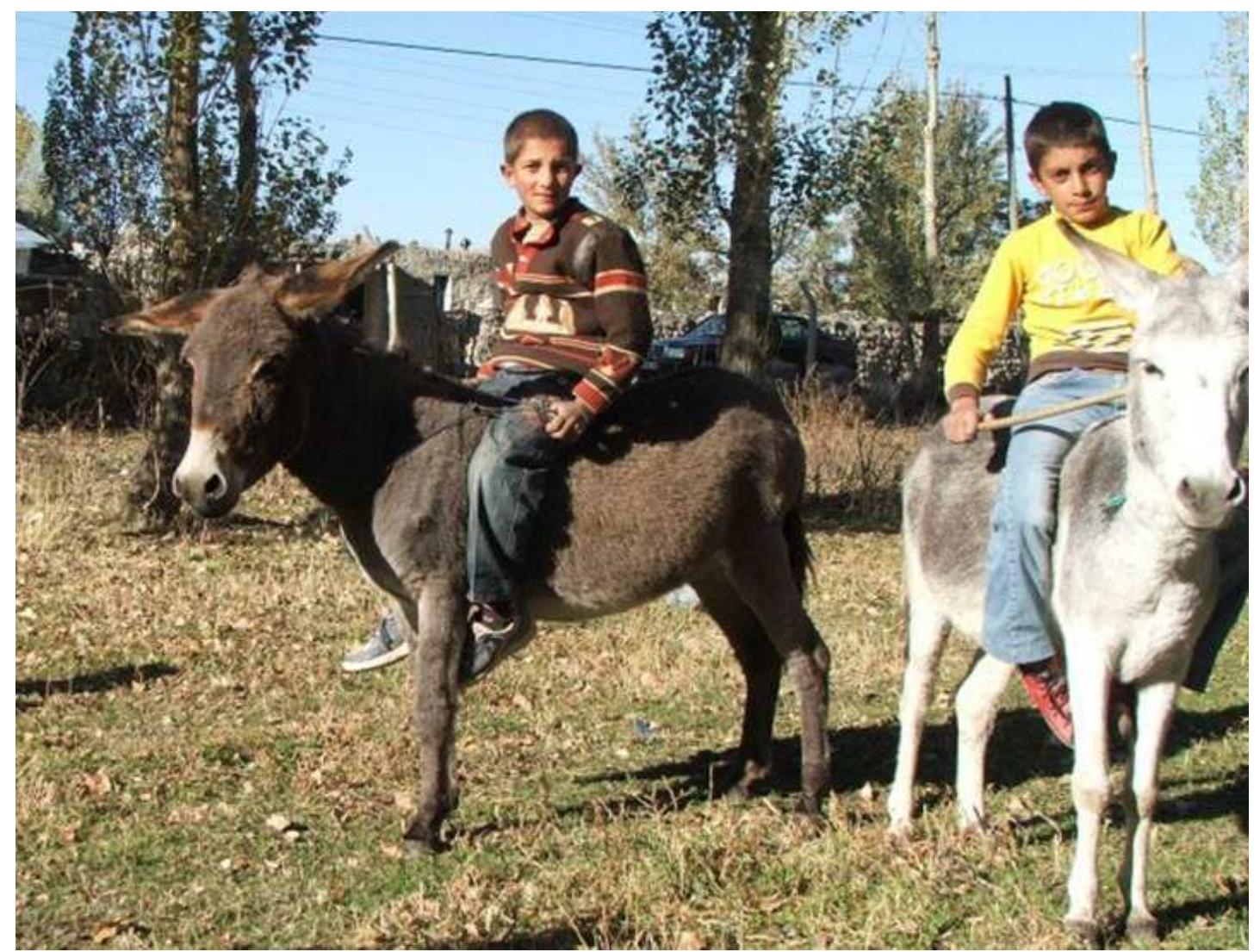 Two young riders (photo by dr. orhan yilmaz) most donkey