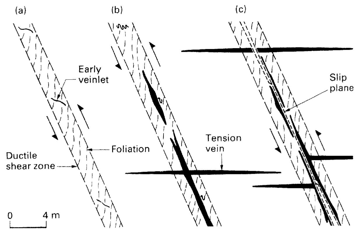 5 stages of formation of subvertical and subhorizontal veins