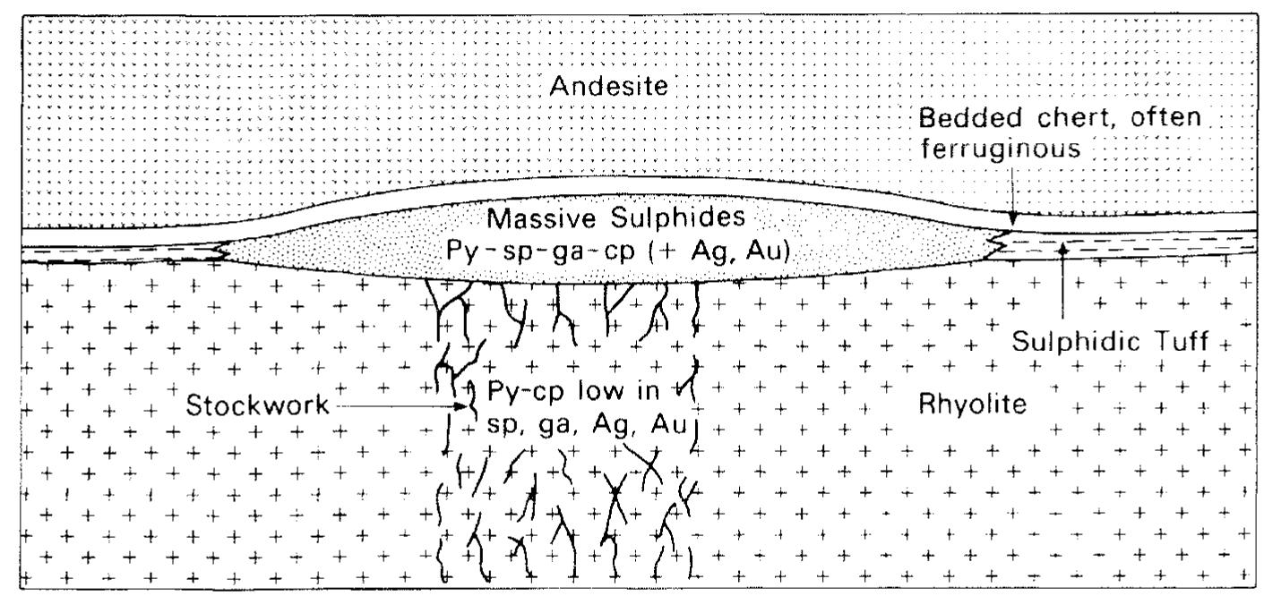 20 schematic cross section through an idealized