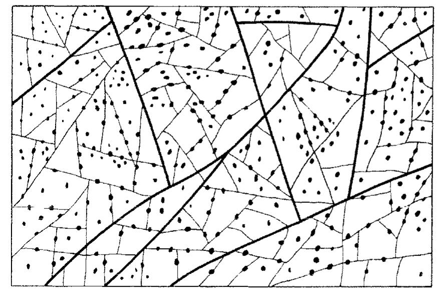 2 schematic drawing of a stockwork in a porphyry copper