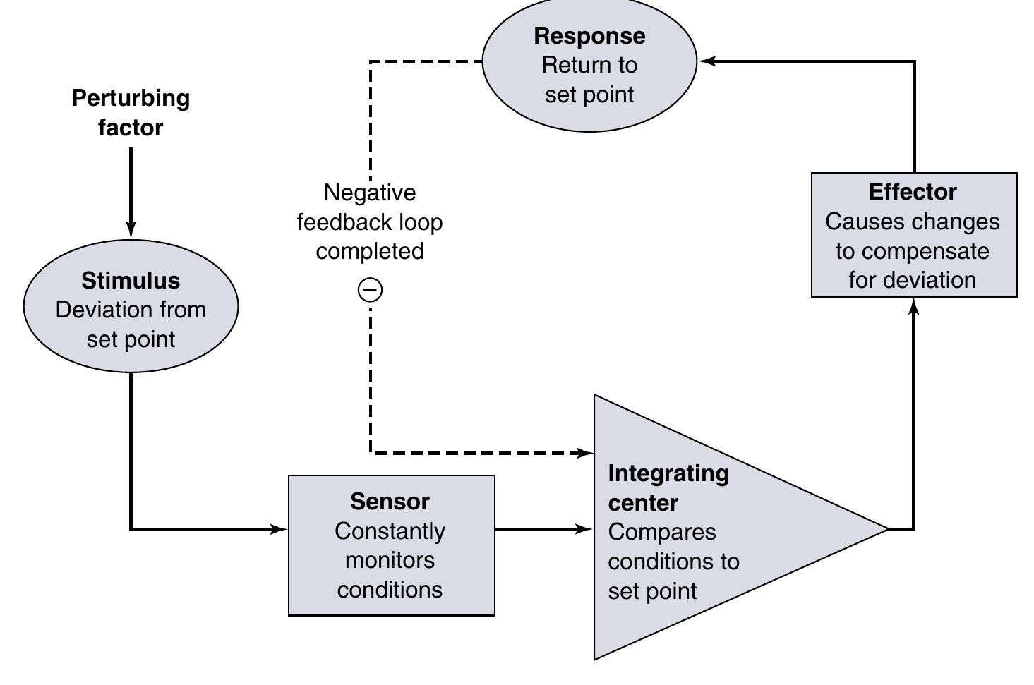 A generalized diagram of a negative feedback loop. negative