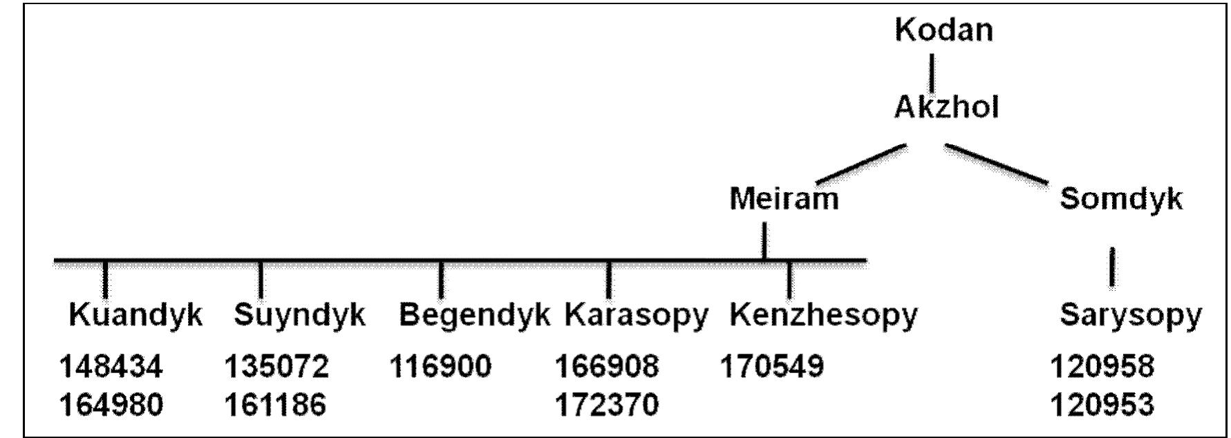 Simplified ancestry chart of argyns. the numbers represent