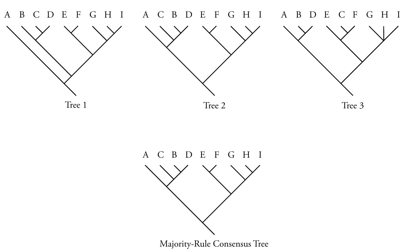 (PDF) Phylogenetic Systematics