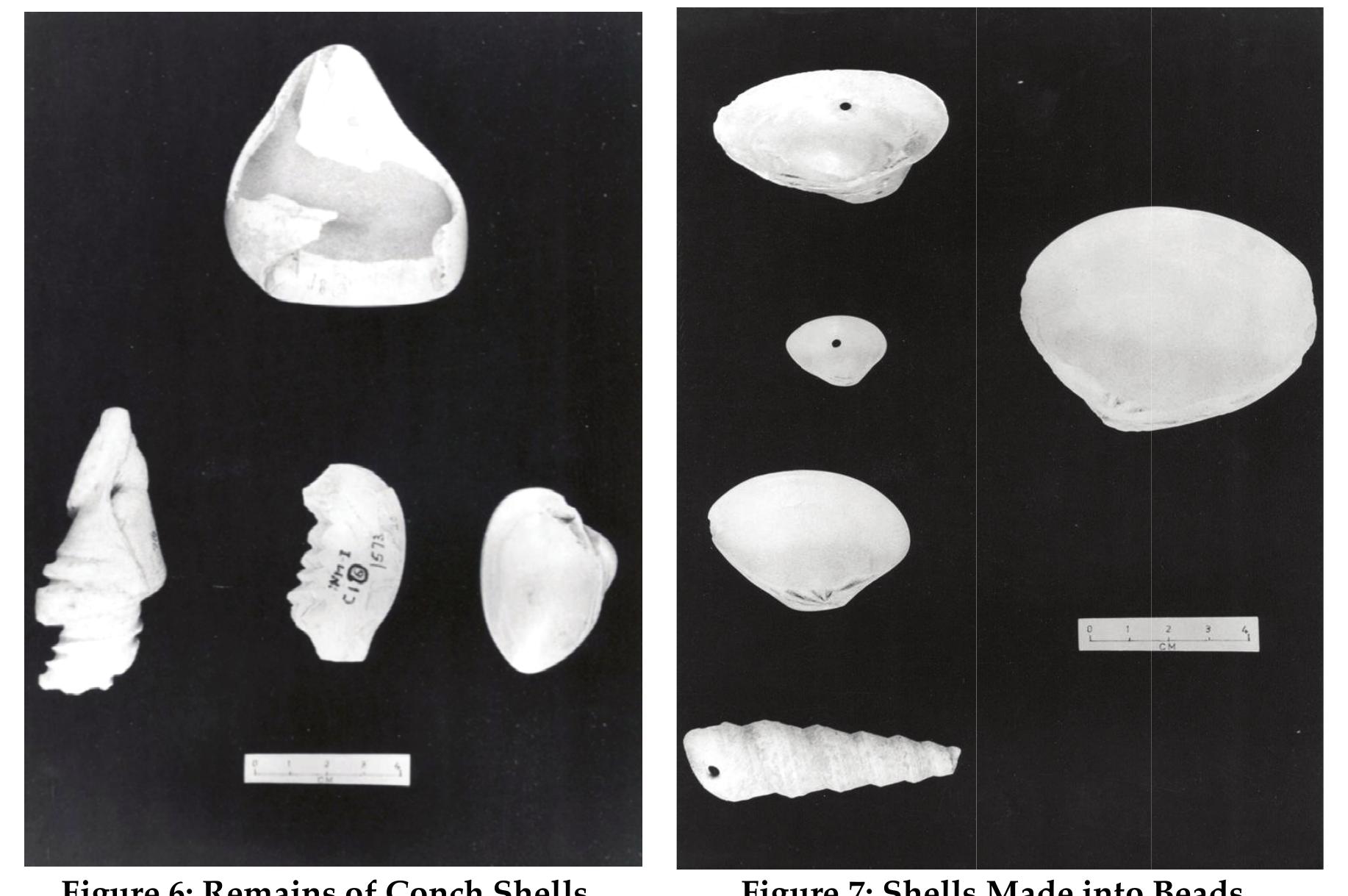 (PDF) Indian Chalcolithic Culture: Aspects of Craft and Technology