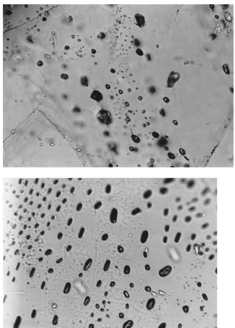 9. photomicrographs of fluid inclusions containing very