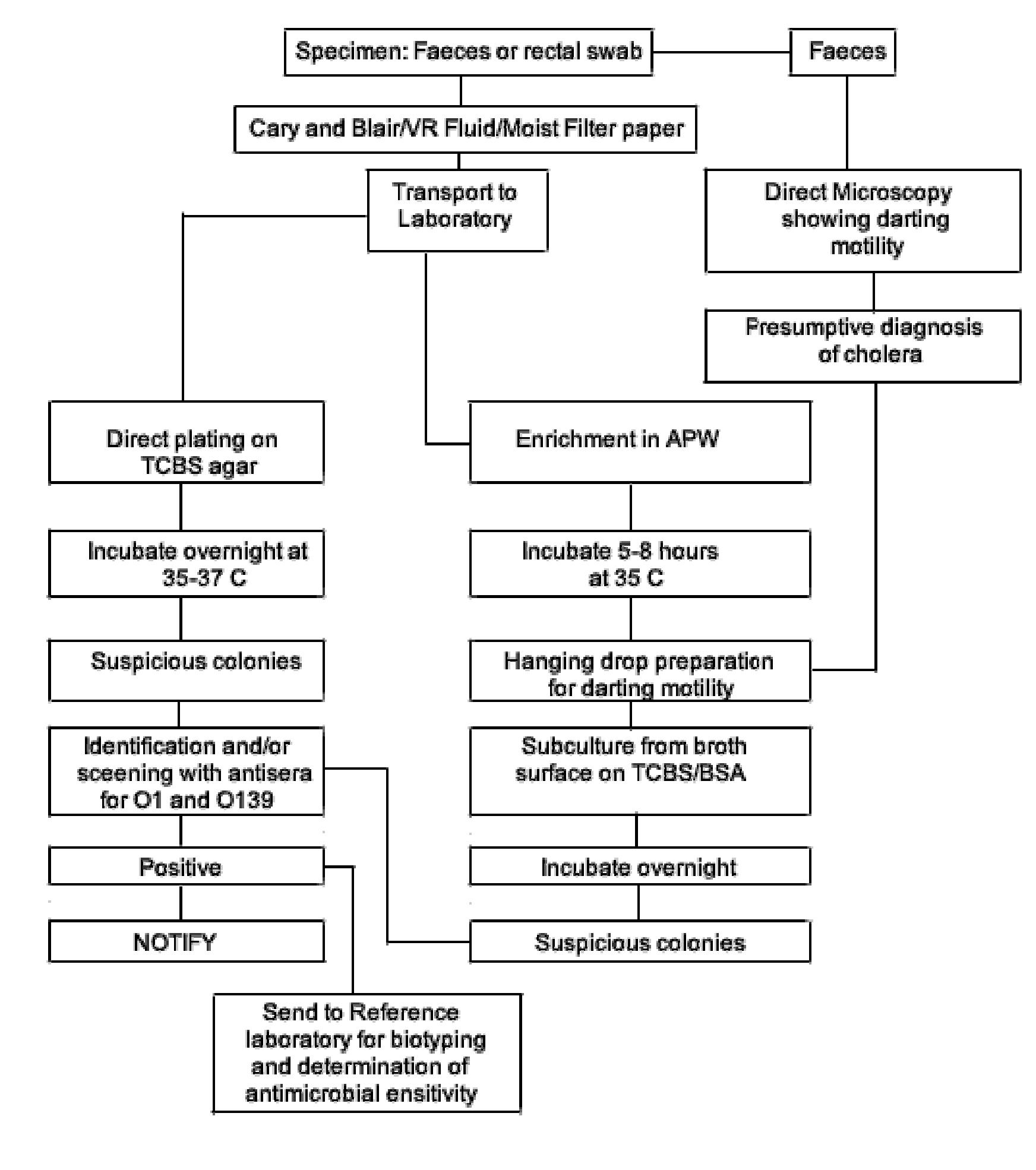 Chart 1: flow chart for diagnosis of cholera