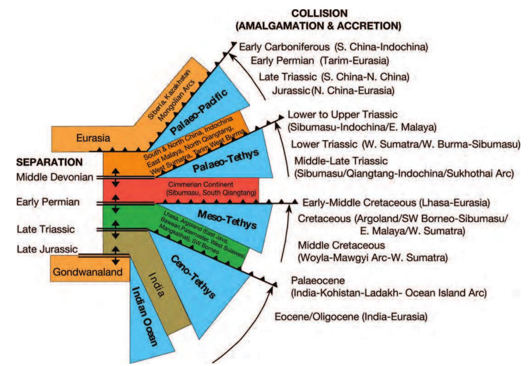 Schematic diagram showing times of separation and subsequent