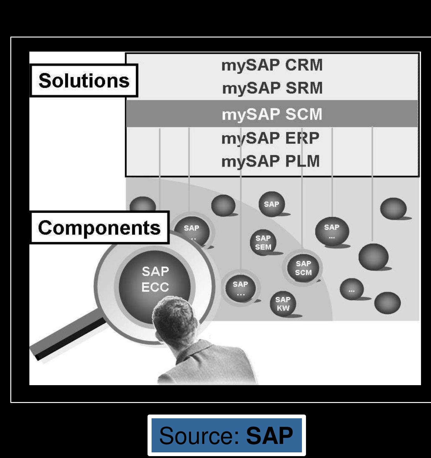 Figure 13 - Introduction to SAP and Basis Administration