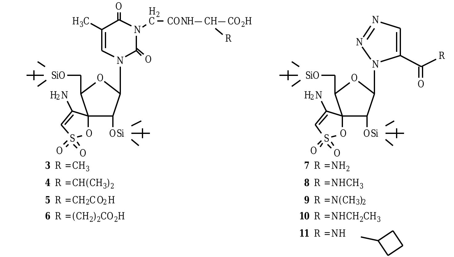 (4). structures of base modified tsa o-t derivatives (3-6)