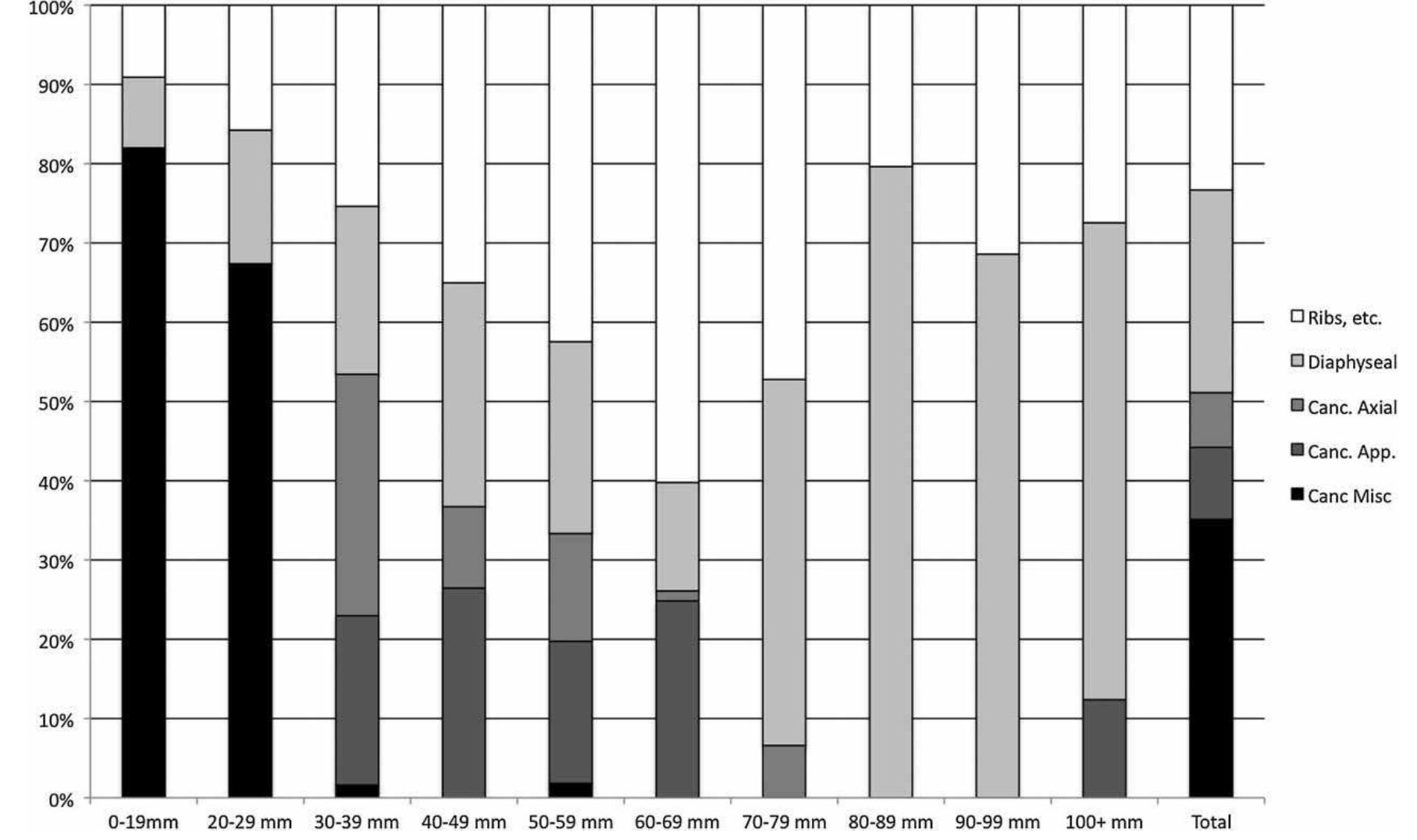 The relative mass of different bone types by size class for