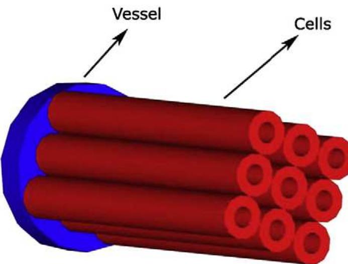 Dea compressor schematically indicated by two major parts.