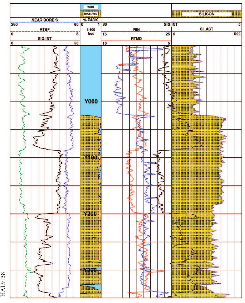 Example of gravel pack evaluation with silicon activation